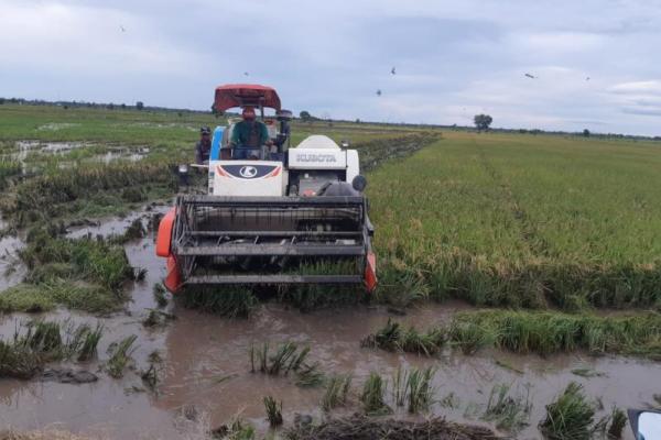 Kementan Ajak Petani Manfaatkan Alsintan Pasca Panen