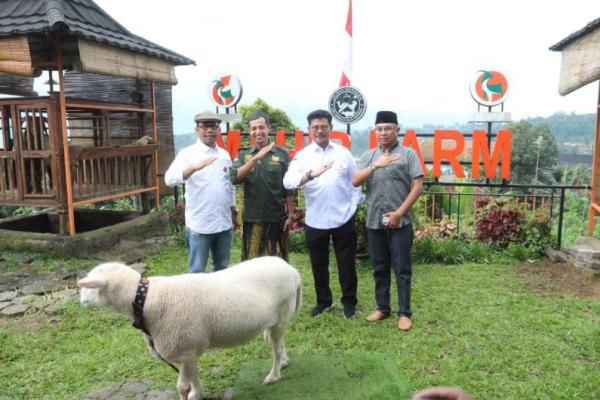 Mentan Syahrul Ajak Peternak Penuhi Kebutuhan Daging Nasional