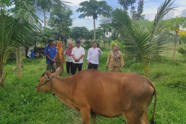 Optimalkan Produktivitas Pertanian, Kementan Dukung P4S jadi Pendorong ...
